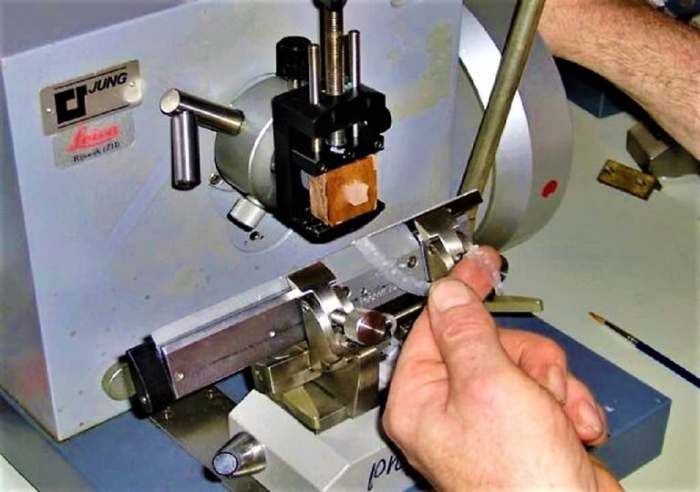 HISTOPATHOLOGY AND CYTOPATHOLOGY NOTES