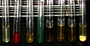 Staphylococcus aureus - Morphology, Identification, Biochemical tests....
