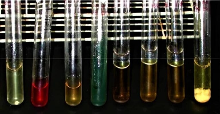 Staphylococcus aureus - Morphology, Identification, Biochemical tests....