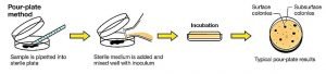 Pour Plate Technique For the Isolation of Microorganism | Culture Methods
