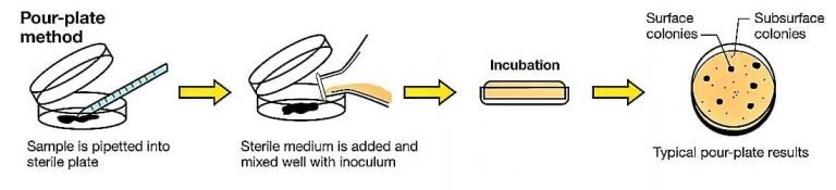 Pour Plate Technique For the Isolation of Microorganism | Culture Methods
