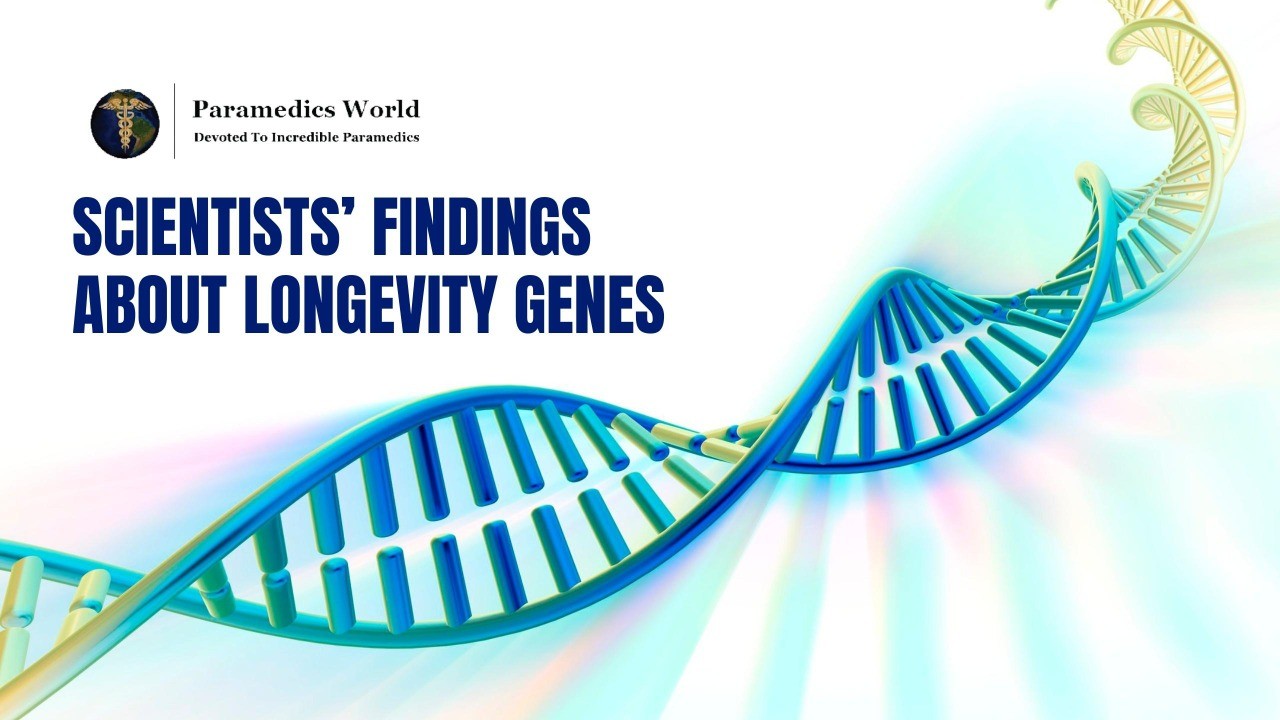 Scientists’ Findings About Longevity Genes | Paramedics World