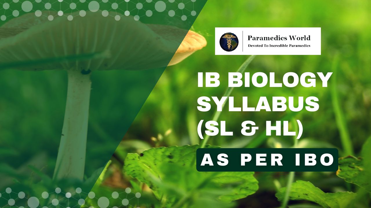 IB Biology Syllabus SL HL As Per IBO Paramedics World IB Biology Syllabus SL HL As Per IBO Paramedics World
