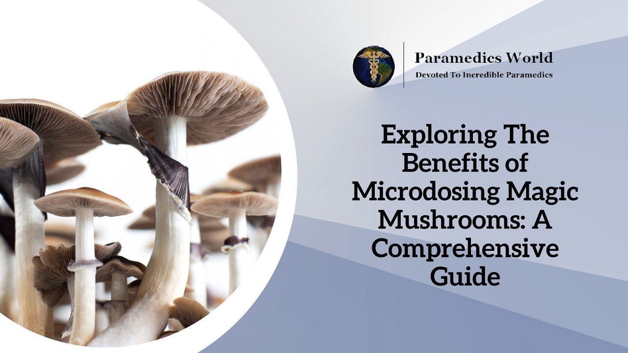 Exploring The Benefits of Microdosing Magic Mushrooms