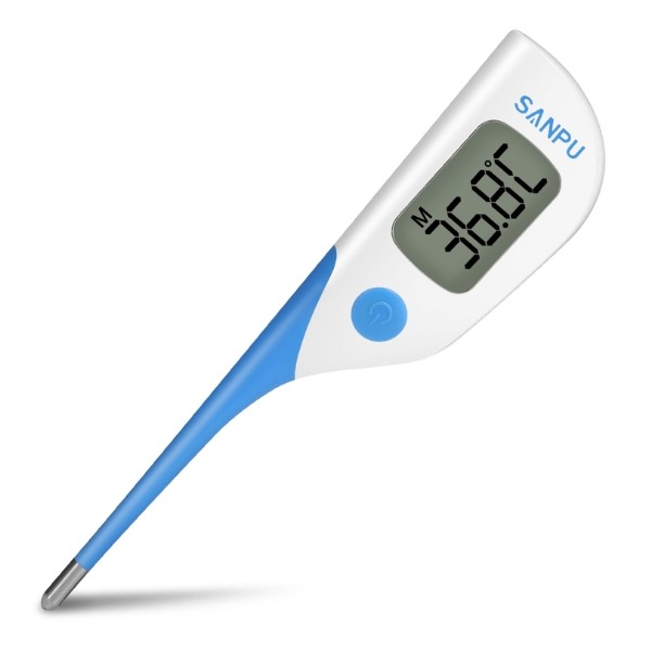 10 Best Digital Thermometers in 2023 | Paramedics World
