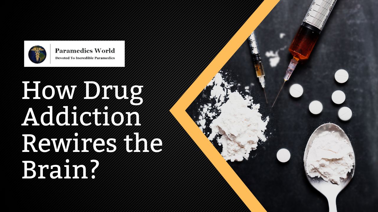 How Drug Addiction Rewires the Brain? | Paramedics World
