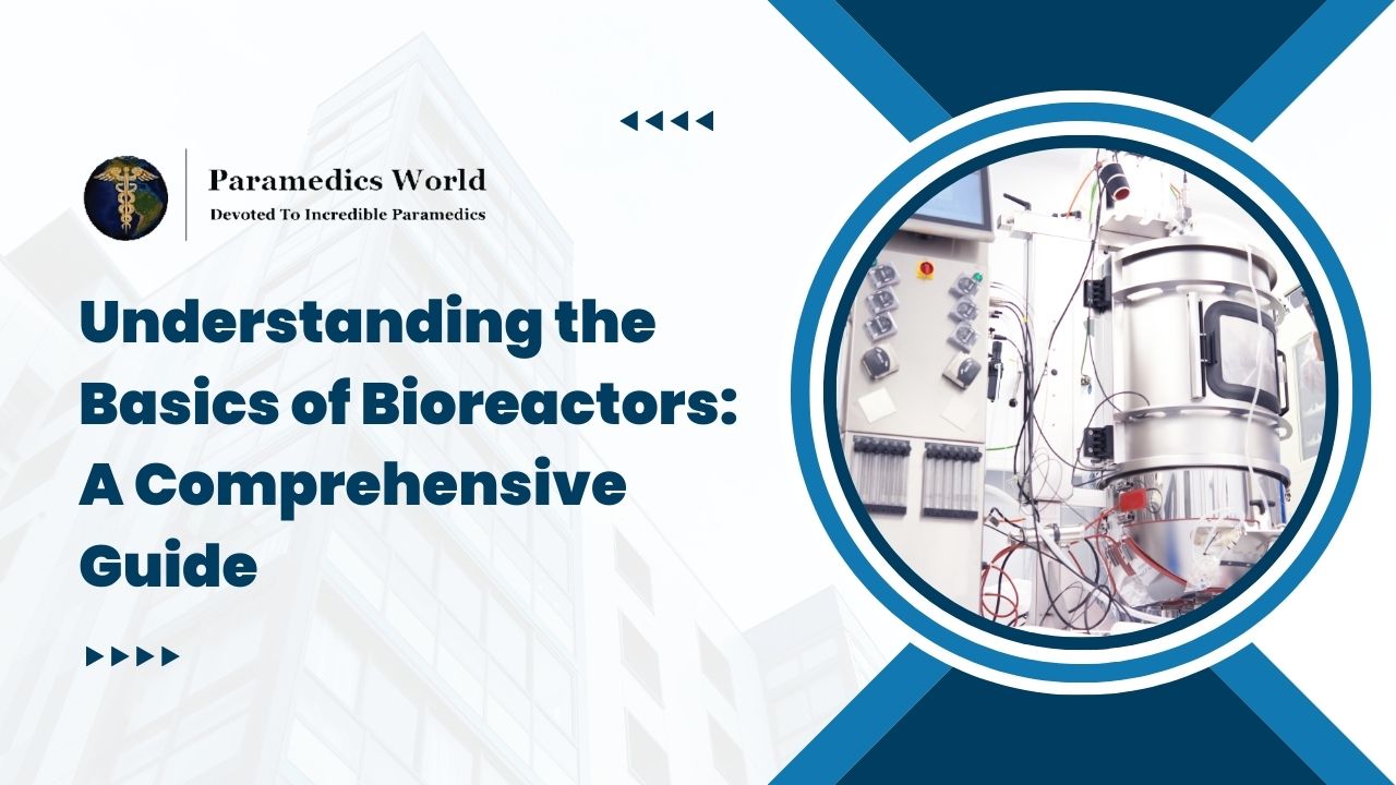 Understanding the Basics of Bioreactors: A Comprehensive Guide